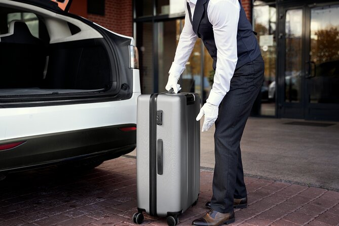 Airport Pick-Up or Drop-Off Service in Tokyo - Accessibility and Additional Info