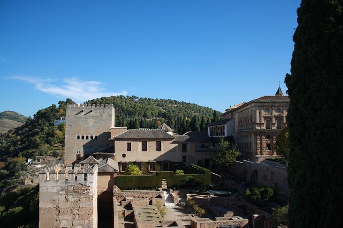 Alhambra Day Trip With Optional Nasrid Palaces From Malaga - Customer Feedback and Experiences
