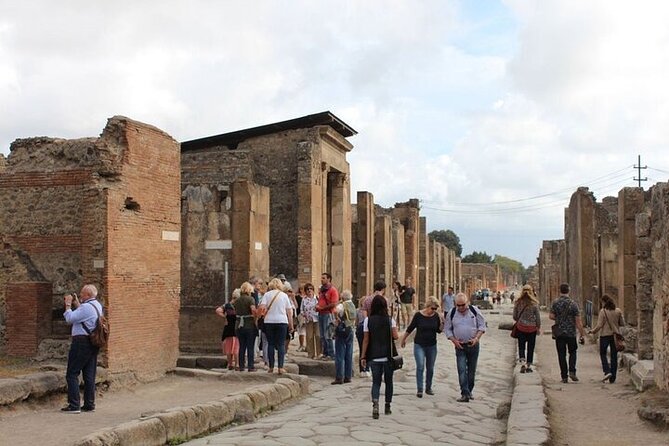 Amalfi Coast Sorrento and Pompeii From Naples - Private Tour - Insights on the Tour Vehicle and Comfort