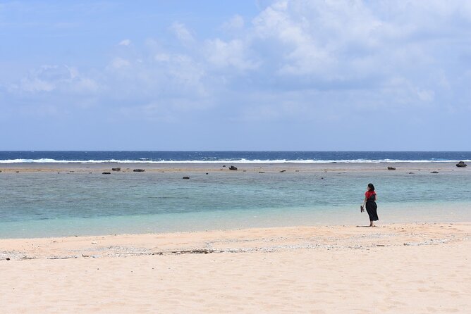 Amami Oshima Mangrove Kayaking, Waterfall and Cape Walking Tour - Cascading Waterfalls and Serene Surroundings