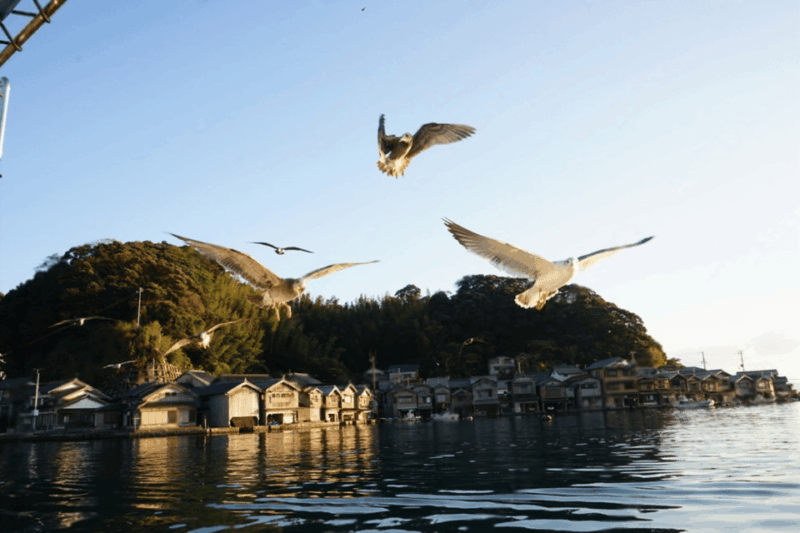 Amanohashidate & Ine Bay Tour With English Speaking Driver - Activities and Experiences
