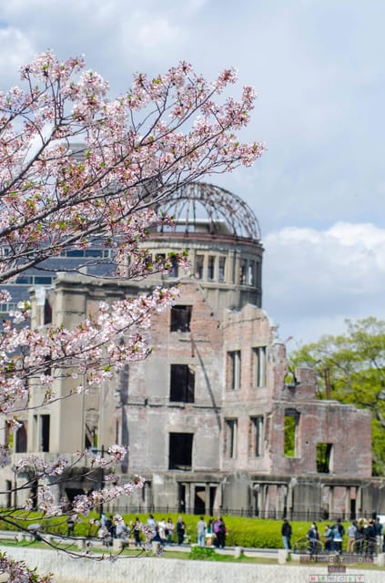 Amazing Hiroshima: Private City Tour With a Local Guide - Taking in the Tranquility of Shukkeien Garden