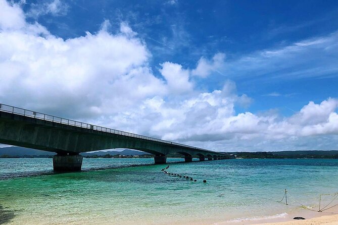 American Village &Okinawa Churaumi Aquarium Tour From Naha/Chatan - Accessibility
