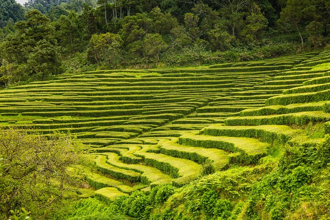 An Adventure Through the EAST of São Miguel Island - Tasting the Traditional Azorean Stew