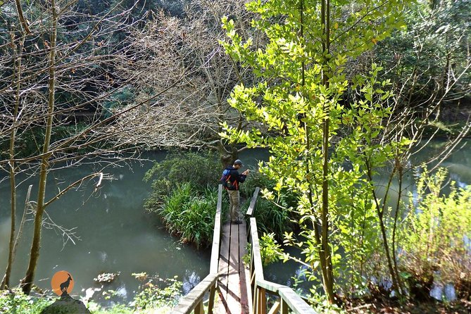 An Adventure Through the Forest and Palace of Bussaco - Coimbra - Highlights of the Forest and Palace