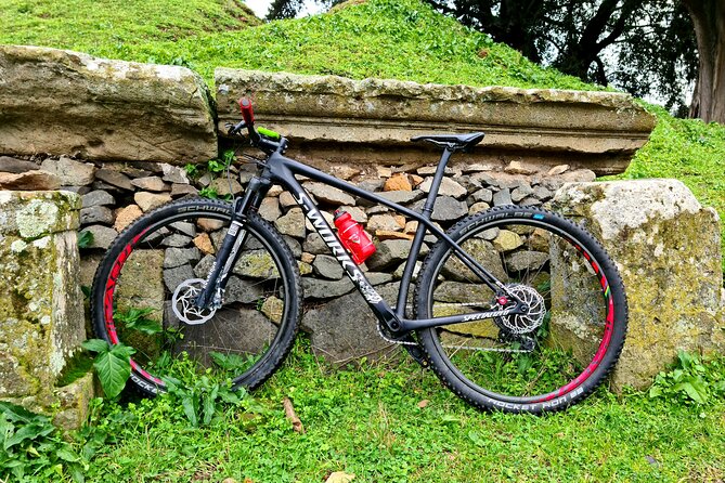 Ancient Appian Way and Roman Countryside E-Bike Tour - Highlights of the Experience