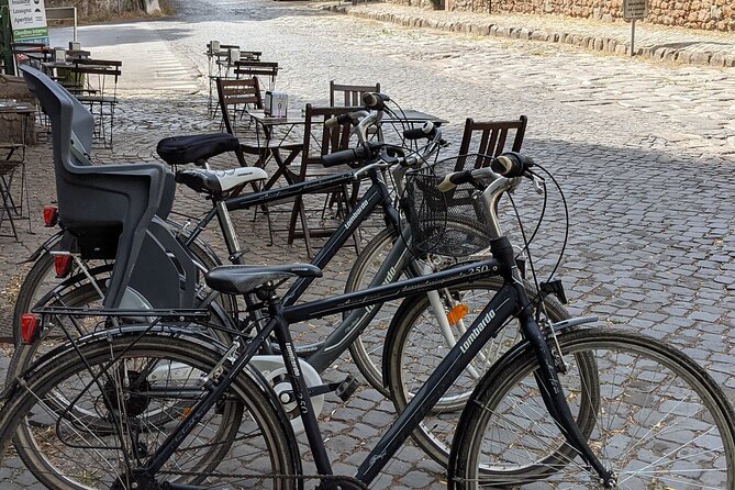 Appian Way Bike Rental Review: Scenic Adventure - Highlights From Reviews
