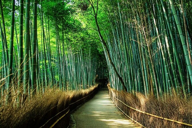 Arashiyama & Yasaka Shrine & Nara & Todaiji Day Trip From Osaka - Self-Guided Exploration