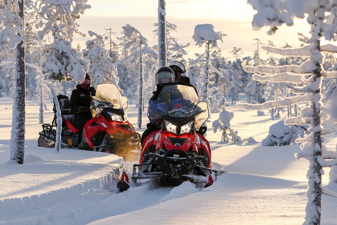 Arctic Delight Review: A Winter Wonderland Adventure - Reindeer Farm Visit