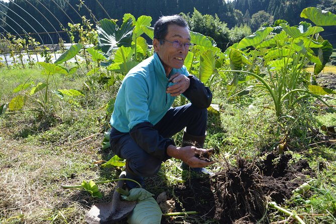Aso Caldera and Farm Experience Tour - Customer Feedback