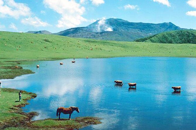 Aso Vocano, Grassland,Onsen and Aso Shrine 1-Day Tour - Inclusions