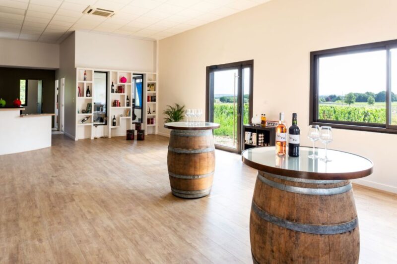 At the Gates of Toulouse: From the Vine to the Cellar - Understanding the AOP Fronton and Its Signature Grape