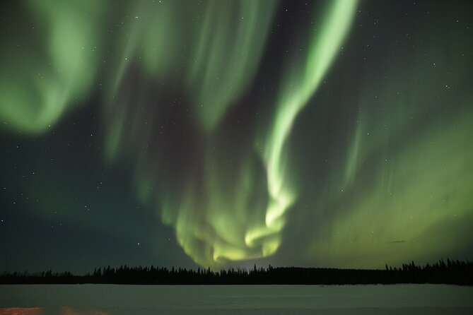 Aurora Borealis Picnic in Rovaniemi - Exploring the Lapland Wilderness