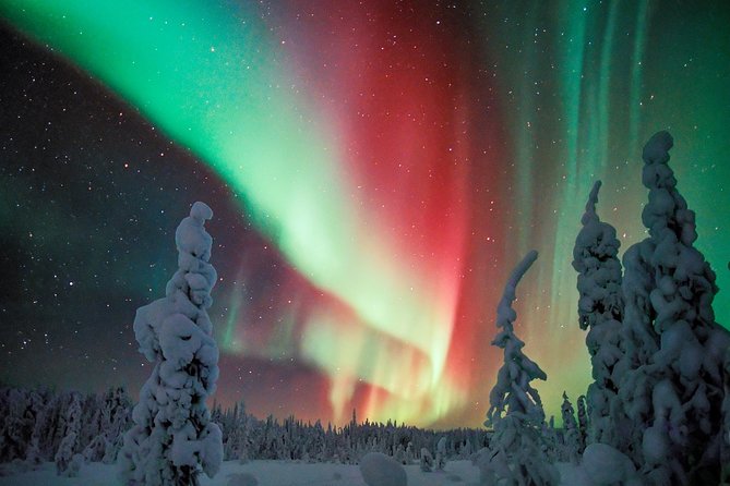 Auroras in Saariselkä – Northern Lights Photo Tour by Car and on Foot - Accessibility and Group Size