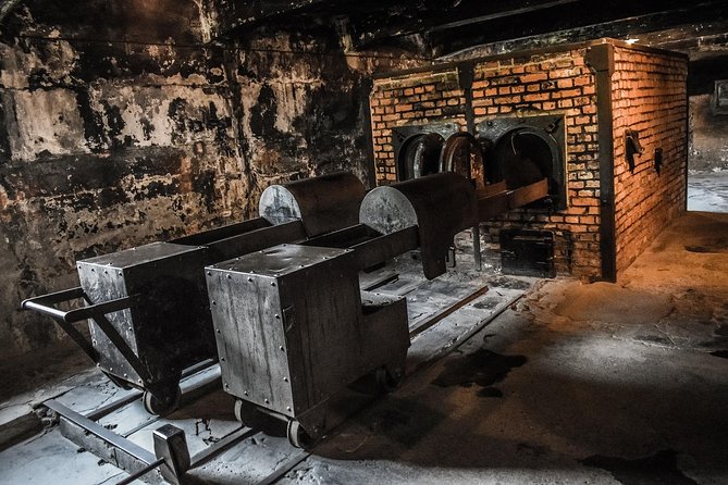 Auschwitz & Birkenau Live Guide Tour Entrance Ticket - Meeting Information
