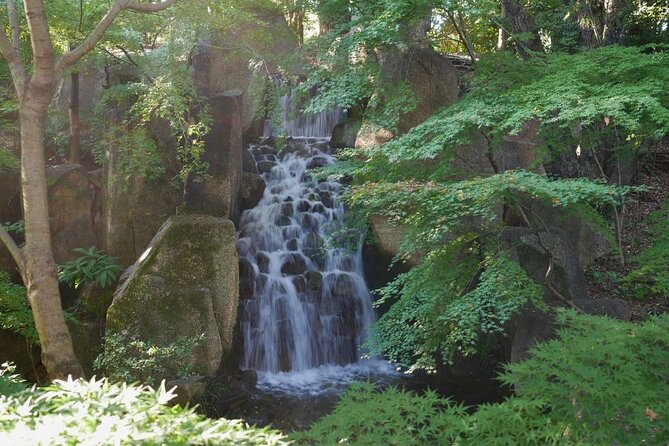 Autumn Leaves Private Tour in Nagoya - Booking Information