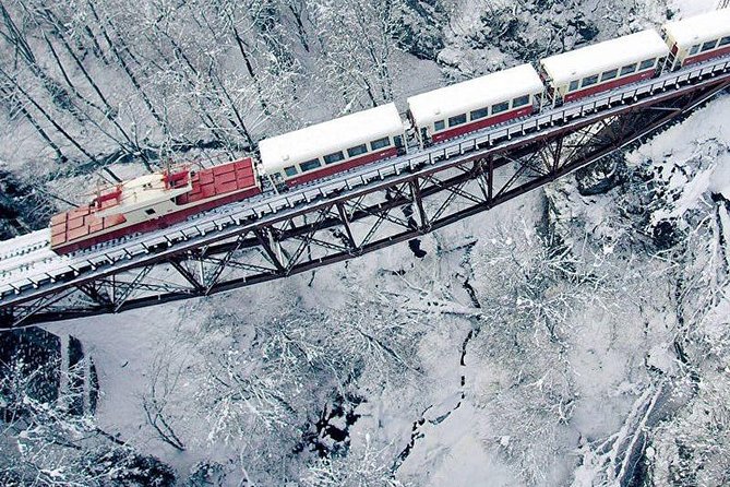 Bakuriani Ski Resort and the Legendary Borjomi (Group Tour) - Borjomi Central Park: Relaxation and Nature