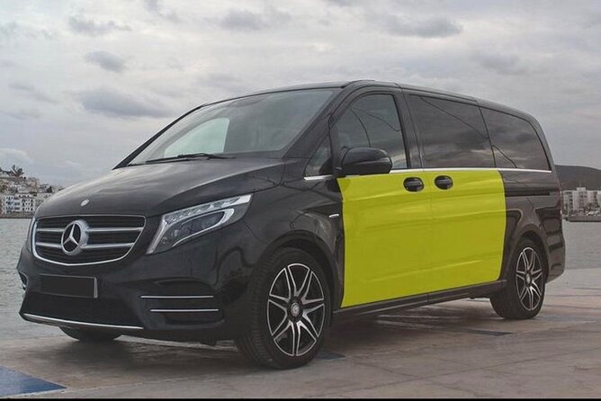 Barcelona Private Transfer From Cruise Terminal to Barcelona City - Accessibility and Additional Features