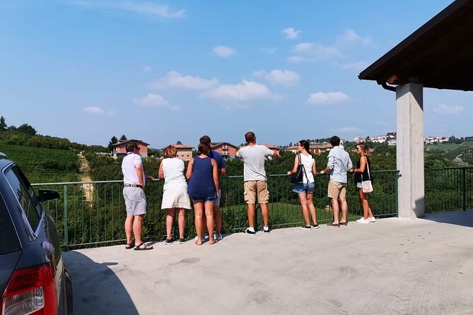 Barolo&Barbaresco Wine Tour With a Local Winemaker From Alba - Vineyard and Cellar Visit