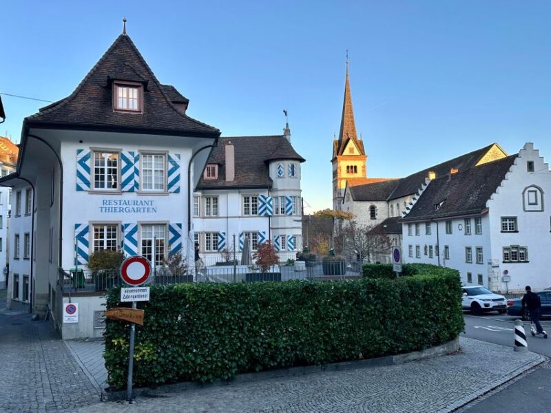 Basel: Stein Am Rhein, Schaffhausen, & Rhine River Cruise - Highlights and Experiences
