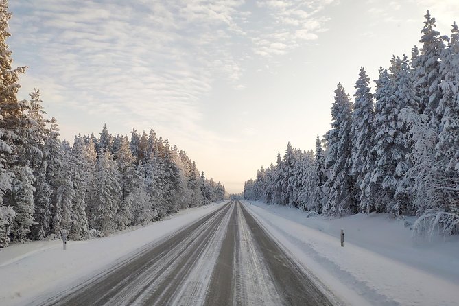 Best of Lapland: Sauna, Ice Swimming, Dinner & Northern Lights - Ice Swimming in an Arctic Lake