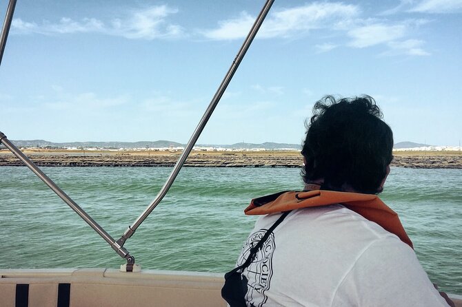 Birdwatching in Ria Formosa - Eco Boat Tour From Faro - Guided Tours and Expert Insights