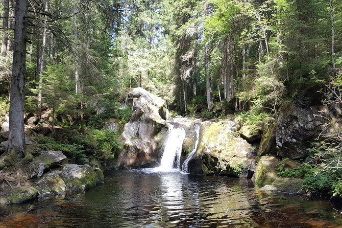 Black Forest Tour by Car - Quick Tour From Freiburg - Meeting and Pickup