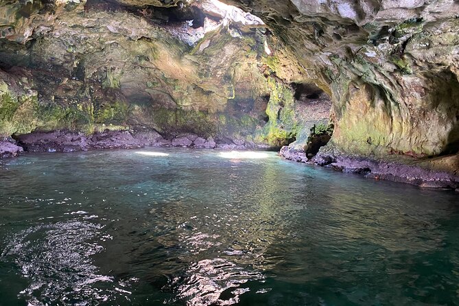 Boat Excursion to Polignano a Mare Between Caves and Coves - Accessibility and Participation