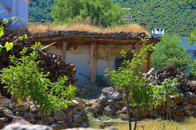 Bodrum Village Tour With Group - Traveler Reviews and Feedback