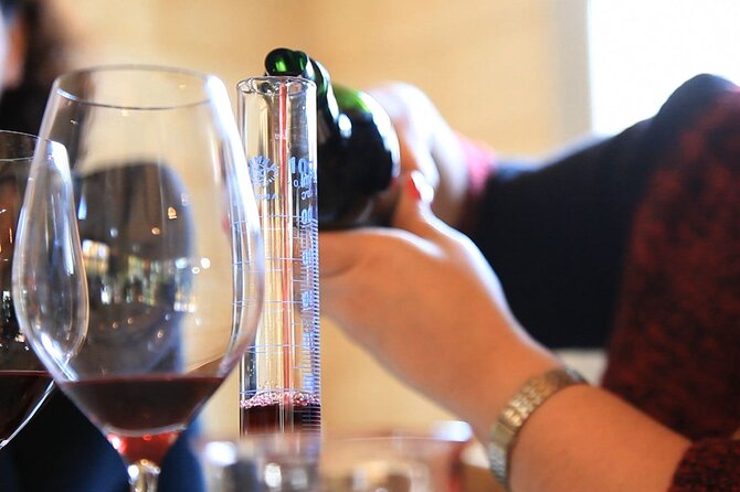 Bordeaux Small-Group Wine Tasting Class Morning With Appetizer Plate - Explore More Wine Regions With À La Française