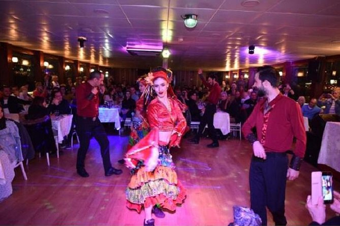 Bosphorus Dinner Cruise & Night Show From Istanbul - Stunning Views of Istanbuls Landmarks