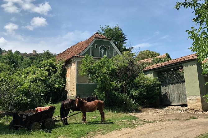 Bran and Rasnov Castles Tour From Brasov - Important Information for Travelers