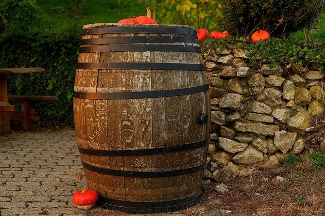 Bratislava 3-Hour Wine Tasting - Itinerary Details