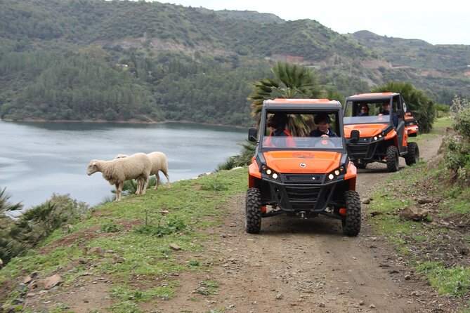 Buggy Adventure Review: Stunning Marbella Experience - Convoy and Professional Guidance