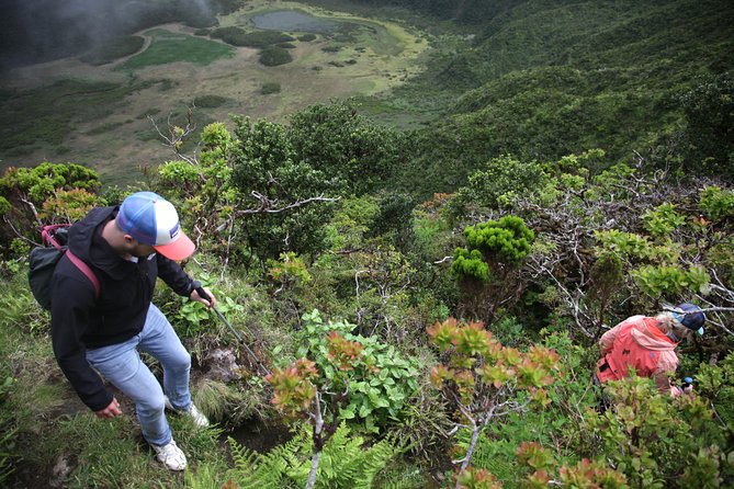 Caldeira Do Faial Descent - Private Hiking Tour - What to Expect During the Hike