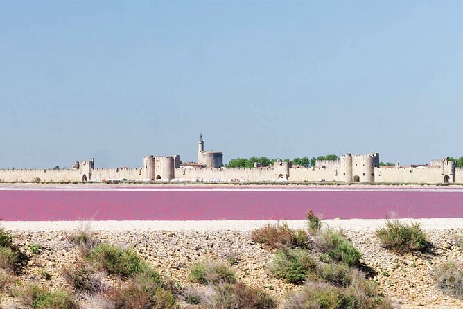 Camargue Small-Group Day Trip From Avignon - Exploring the Ornithological Park