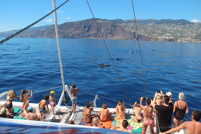 Catamaran Sunset Cruise From Funchal Review - Exploring Madeiras Coastline