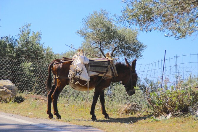 Chania Nature & Villages, White Mountains & Unique Cretan Lunch - Uncovering the Hidden Gems of Local Villages