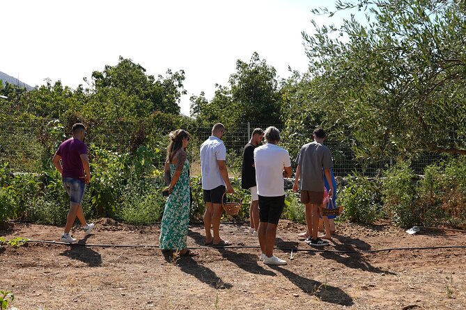 Chania Sourdough Bread Baking Class Olive Oil Tasting - Hands-on Sourdough Bread Baking