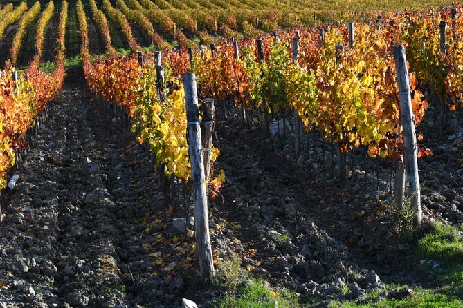 Chianti Wine Tour From Florence to San Gimignano With 2 Wineries - Exploring Chiantis Wineries