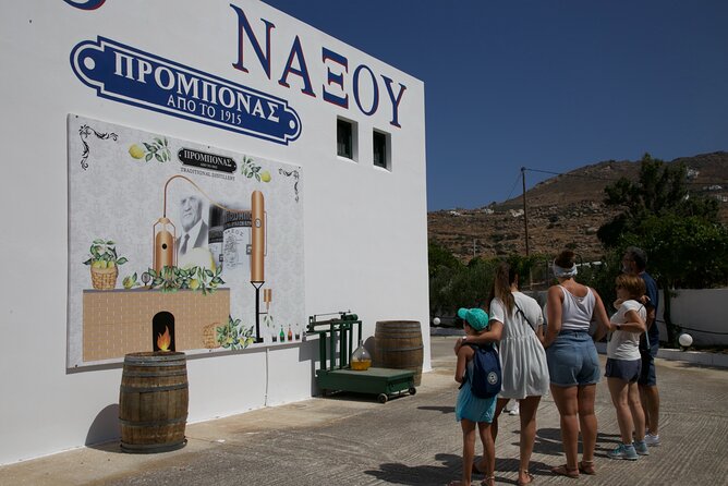 Citron Tasting and Distillery 1-Hour Guided Tour in Naxos - The Distillery and Kitron Production