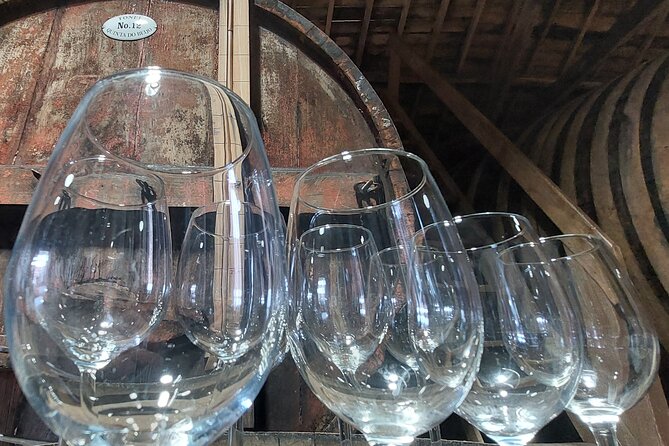 Classic Wine Tasting With GUIDED TOUR - Tasting the Exceptional DOC Wines