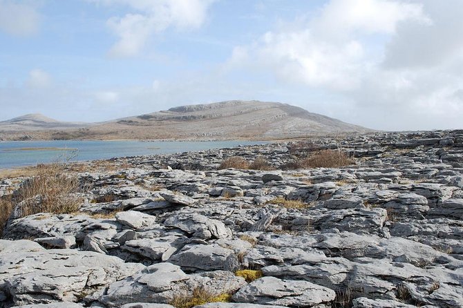 Cliffs of Moher and Galway City Day Tour From Dublin - Customer Feedback: Positive Experiences