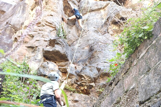 Climbing Madeira - Participant Information