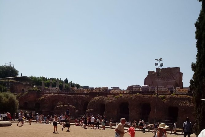 Colosseum and Ancient Rome Express Tour - Issues With Tour Company
