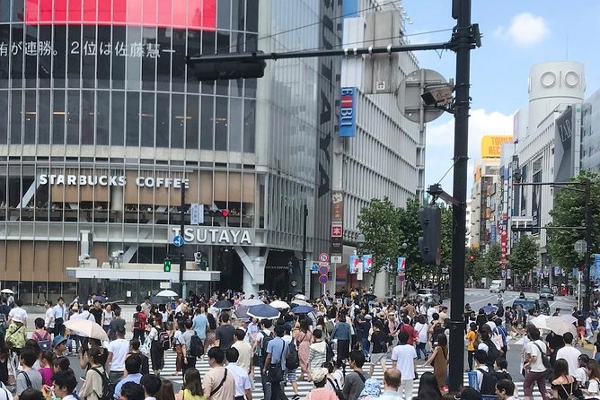 Complete Tokyo Tour: Explore 10 Must-See Sights and Hidden Gems - Guide Feedback and Tour Experience
