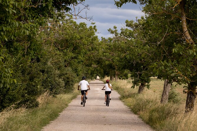 Cortona - Ebike Tour and Wine Tasting in the Val Di Chiana [+40€] - Participant Experience