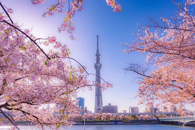 Customizable Private Tokyo Tour With an English-Speaking Driver - Tour Participation Guidelines
