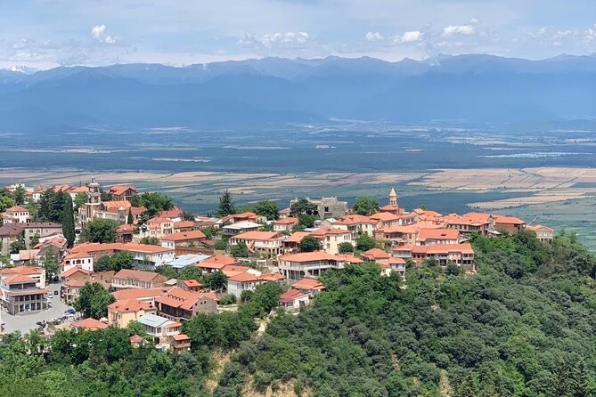Day Tour to Kakheti Wine Region Georgia - Exploring the Charming Town of Signagi