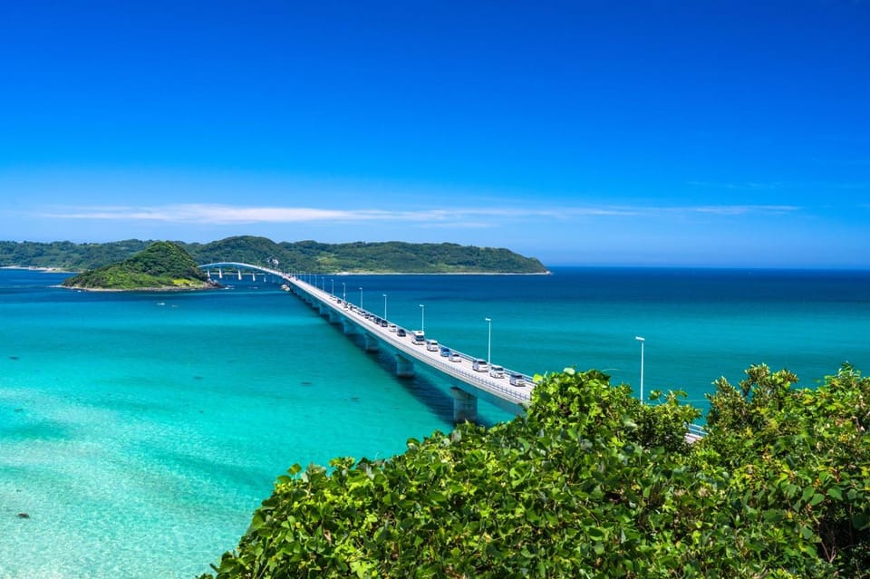 Day Trip Bus Tour From Fukuoka to Tunoshima, Yamaguchi - Booking and Cancellation Policy